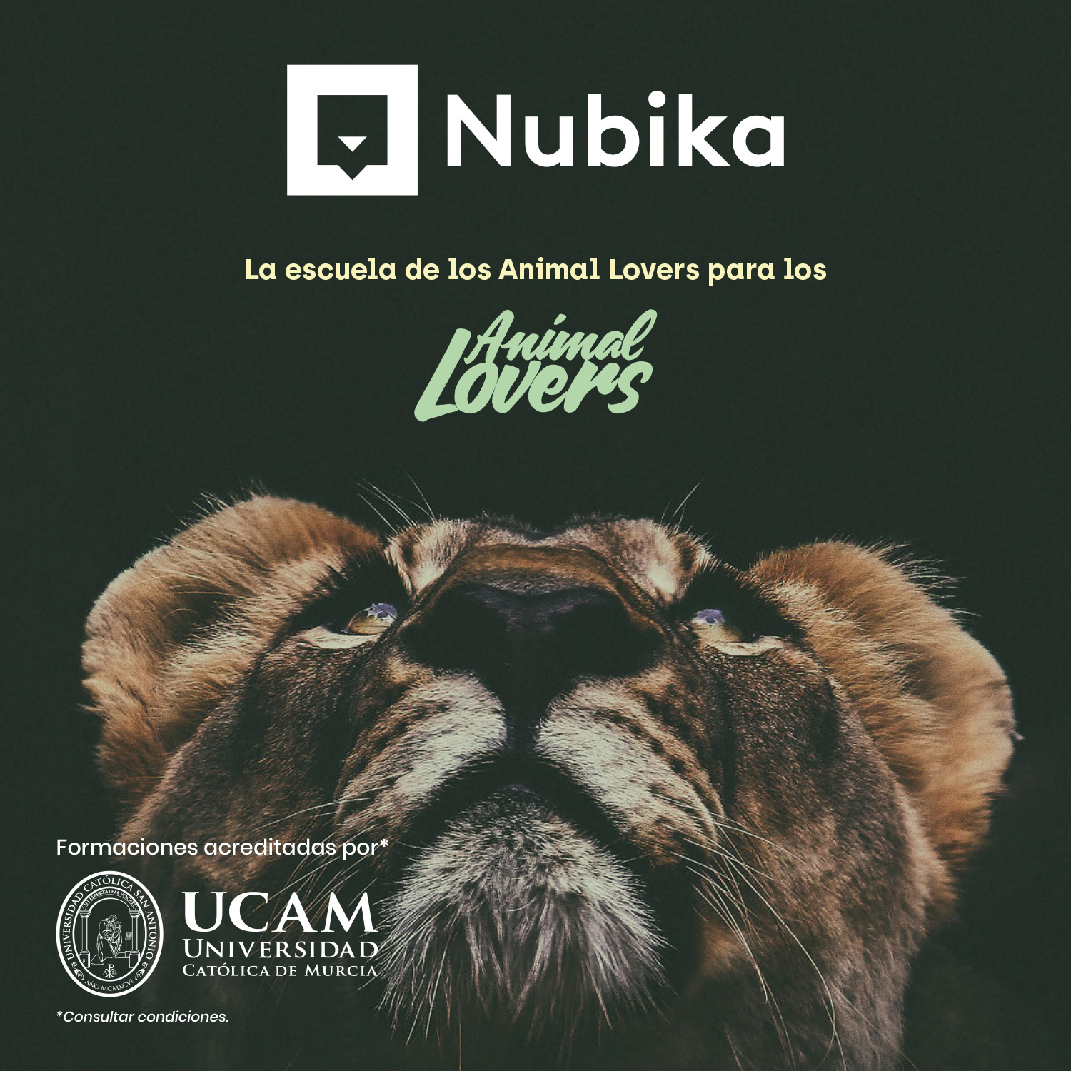 Dossier corporativo - Nubika