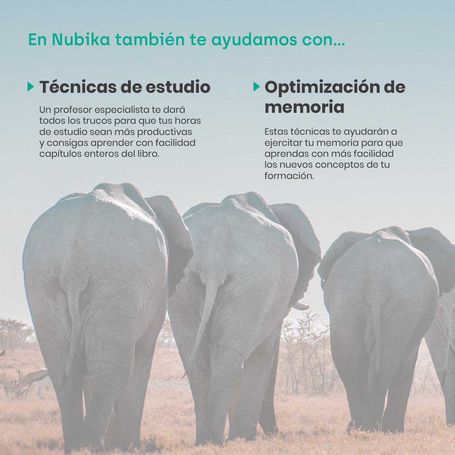 Dossier corporativo - Nubika