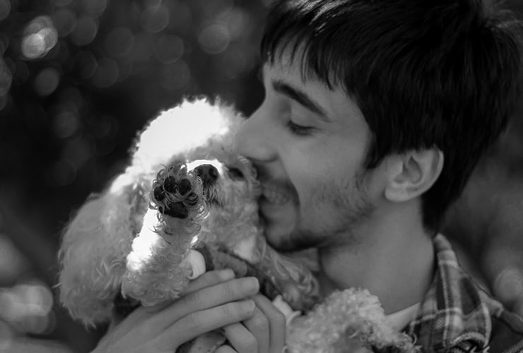 Razas ideales para terapia: el perro poddle | Nubika